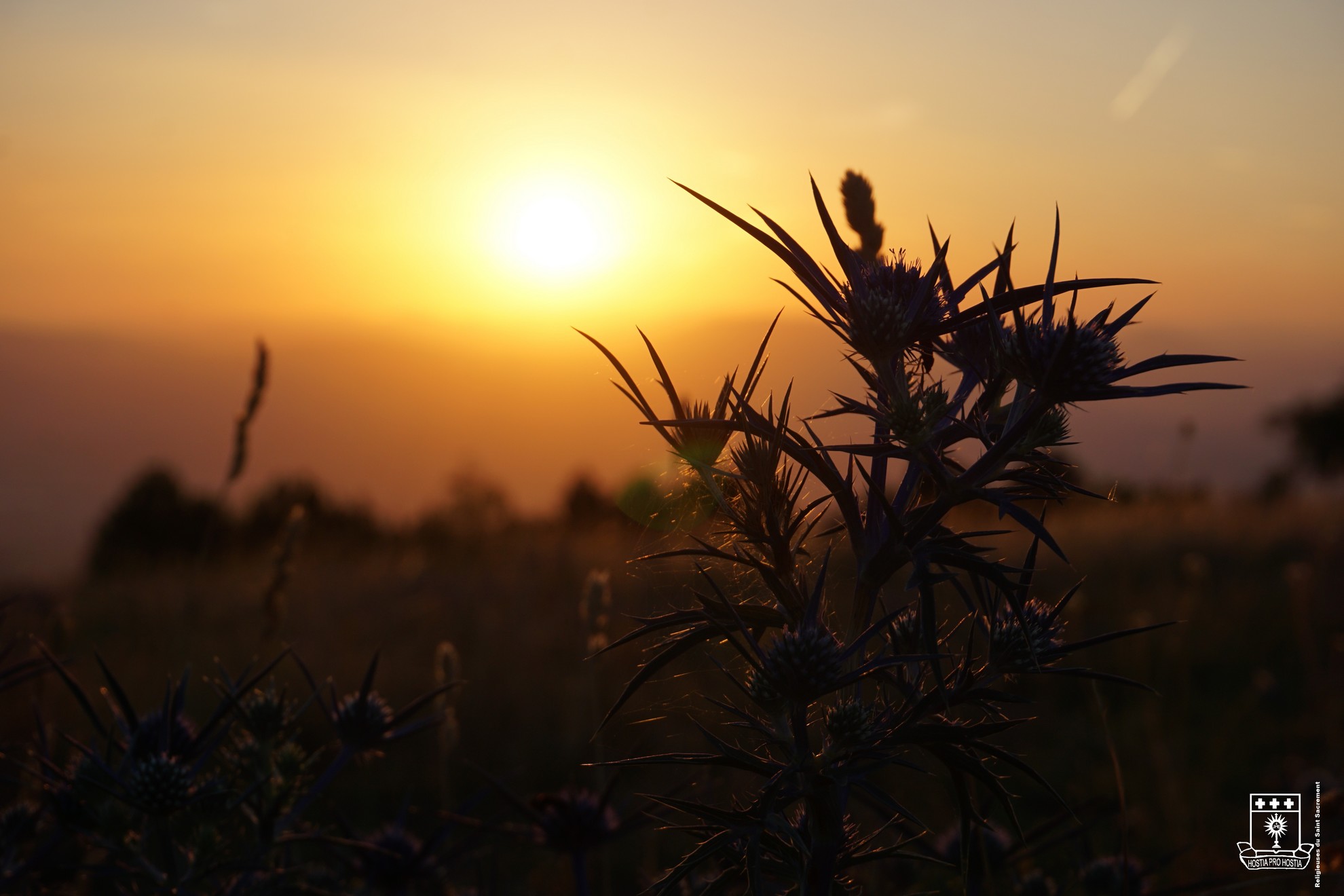Celebrate in the liturgy - Pierre Vigne - Saint Sacrement - Valence